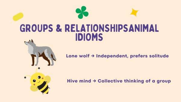 50 Idioms with Animals for Everyday English- with Examples